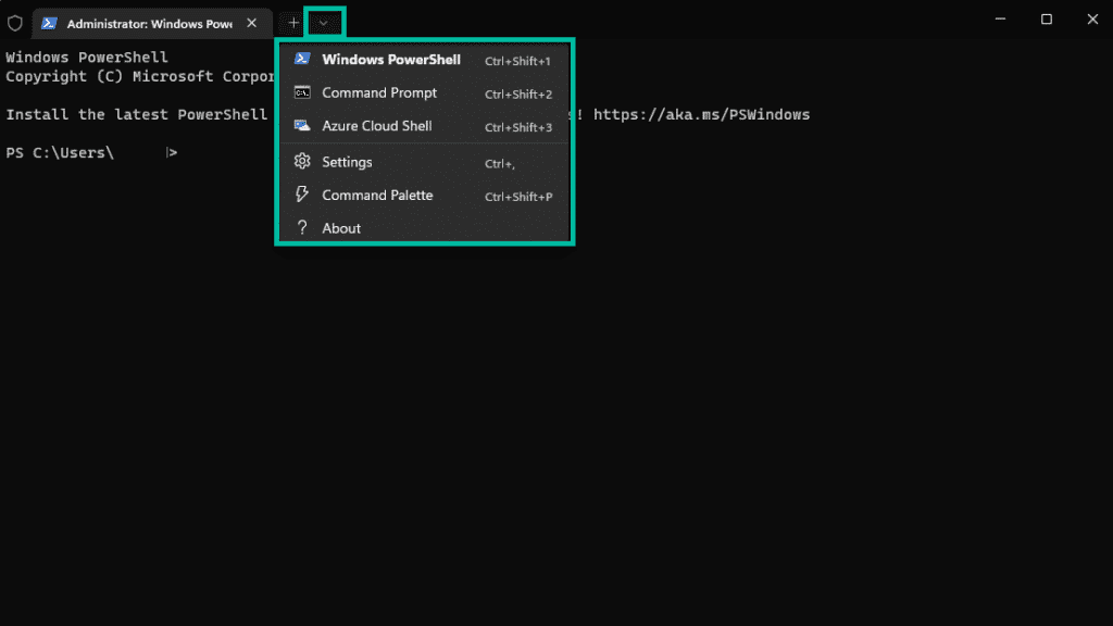 Windows 11 Insider Preview - Terminal and options - COLLABORATION PRO